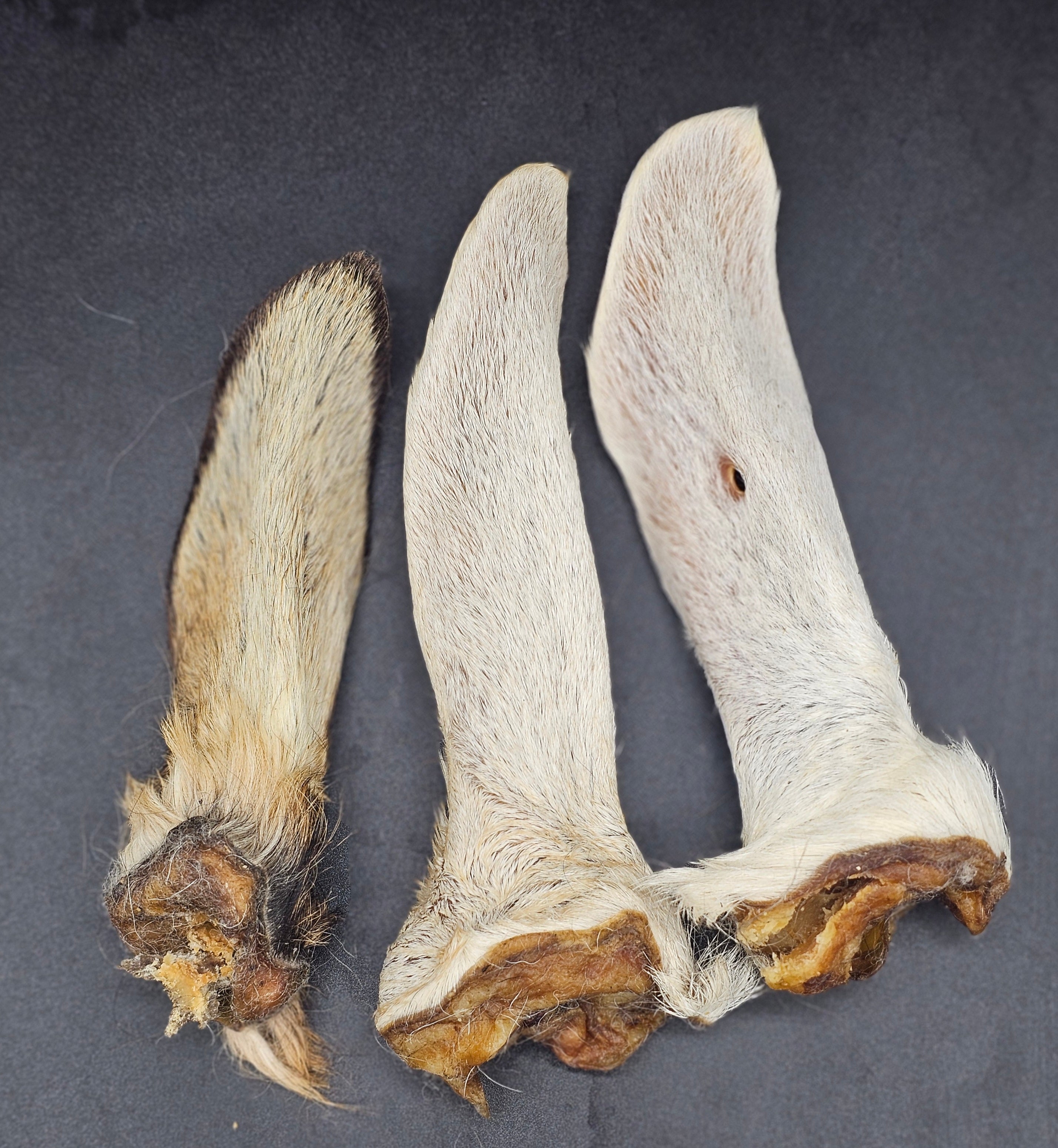 Dehydrated Goat Ear (with fur) – ProperK9